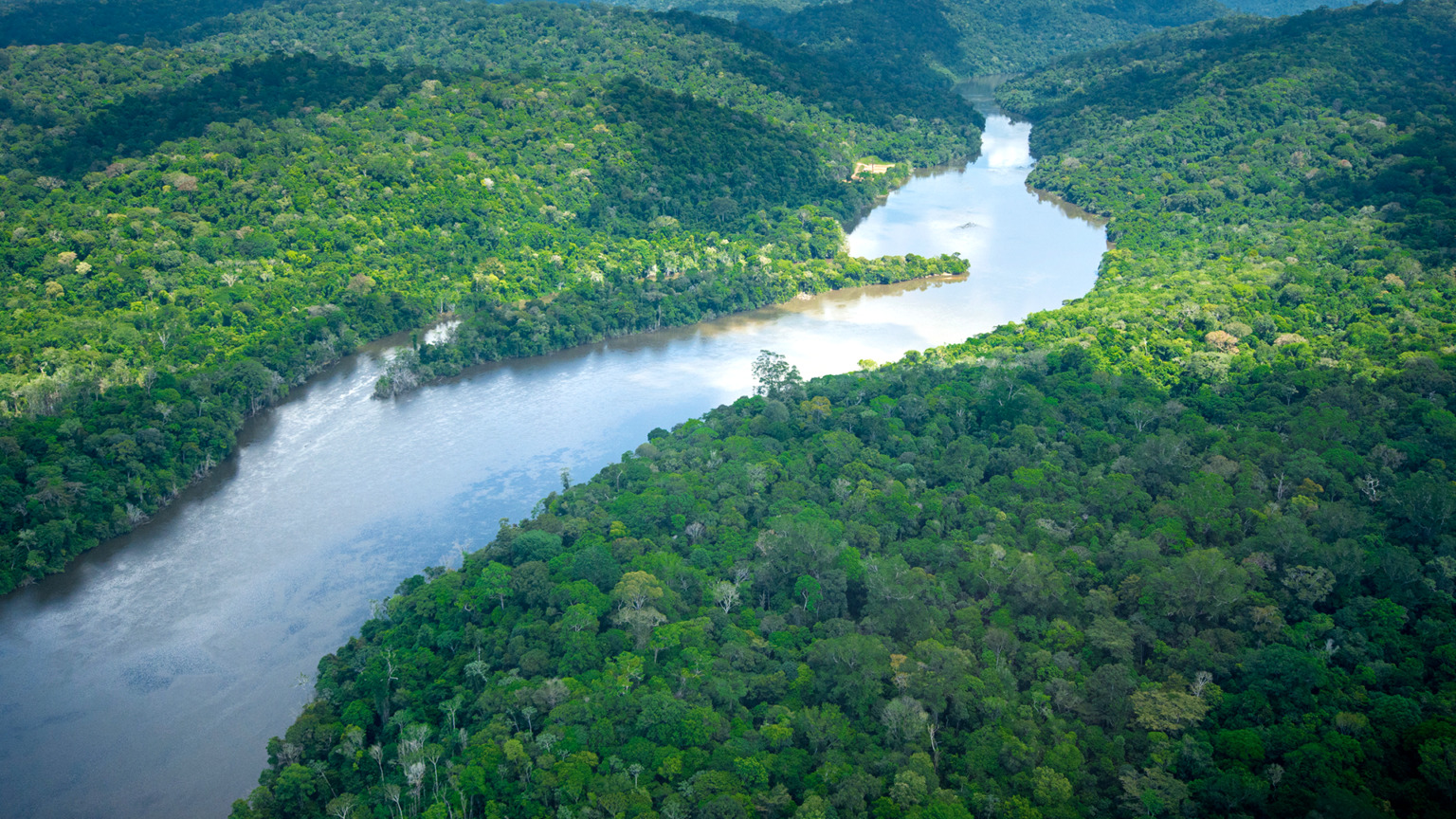 Ambipar Group is an ambassador of the Amazon Impact Movement - Ambipar