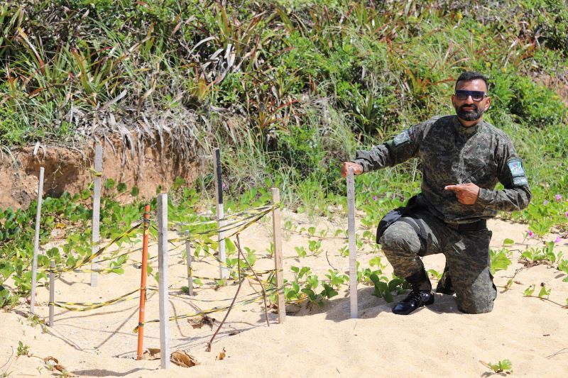 Environment performs relocation of nests with turtle eggs