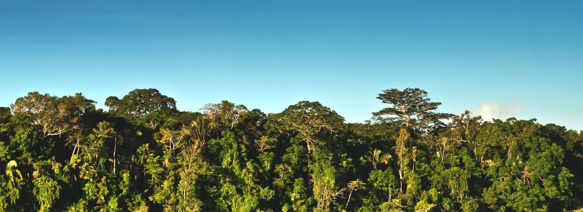 Metodologia Circular Pack - Ambipar. A líder em gestão ambiental.