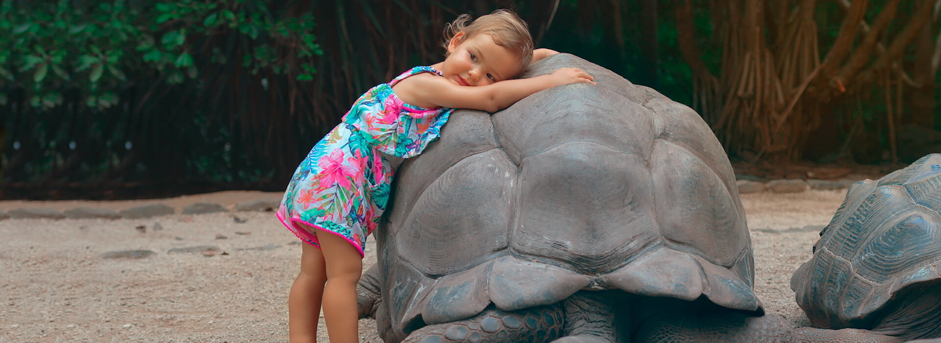 Fauna Rescue and Rehabilitation - Ambipar