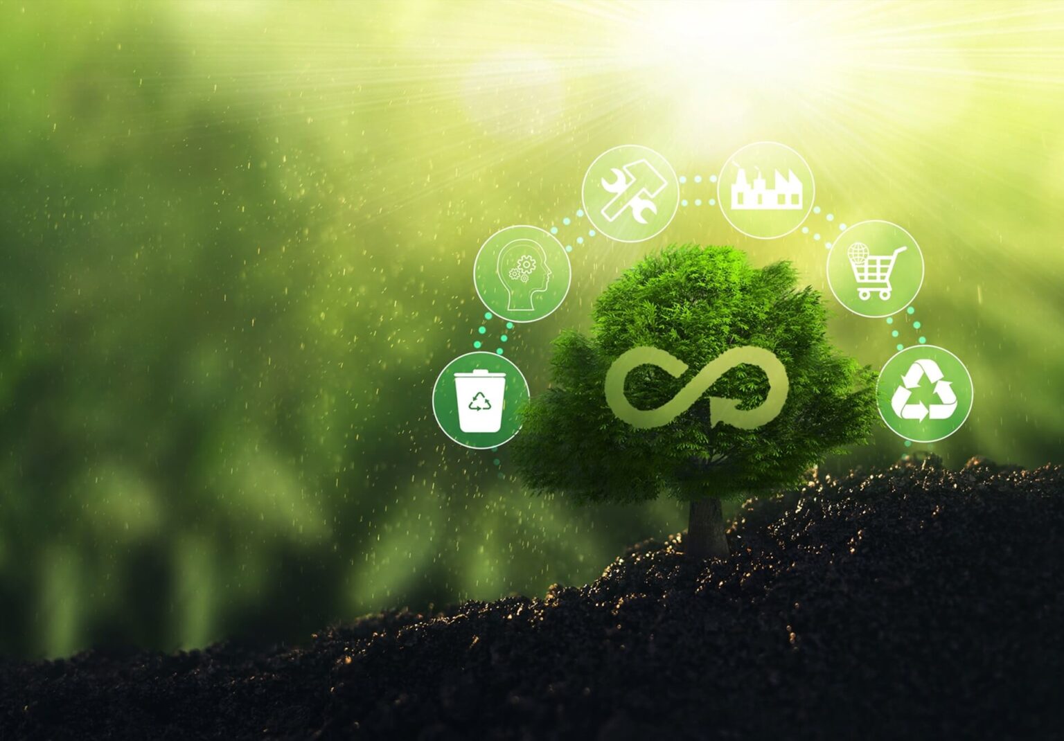6 Tendências da Economia Circular para 2024