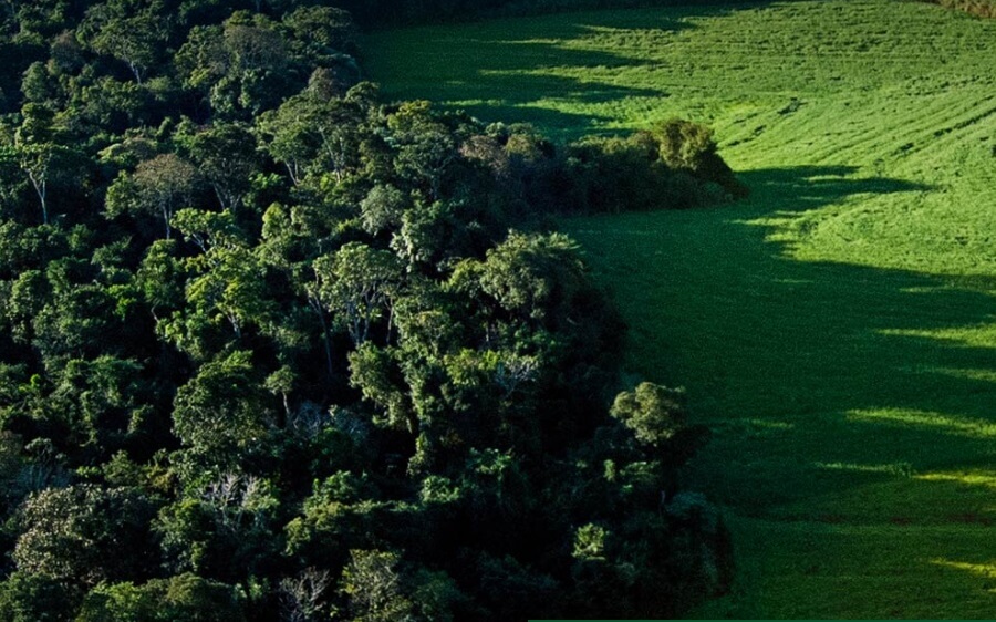 Ambipar: highlighted by Environmental Finance's Voluntary Carbon